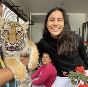 Listas de yoyito · iNaturalist Mexico