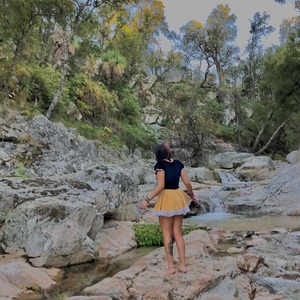 Perfil de hongo_solar · iNaturalist Mexico