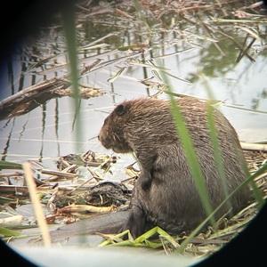 kainoa2's Profile · iNaturalist