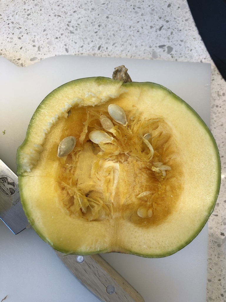 American pumpkin from Norland Sq, London, England, GB on October 15 ...