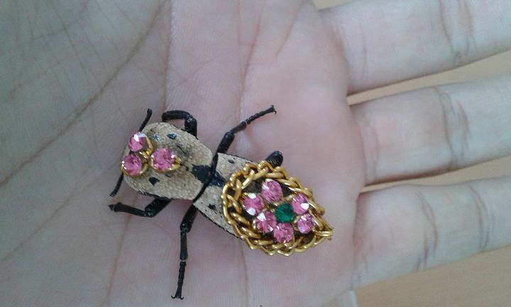 Zopherus chilensis from Xmatkuil on November 14, 2012 by Martín Riestra ...