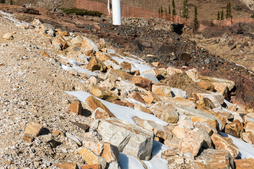 Human-modified ecosystem · iNaturalist