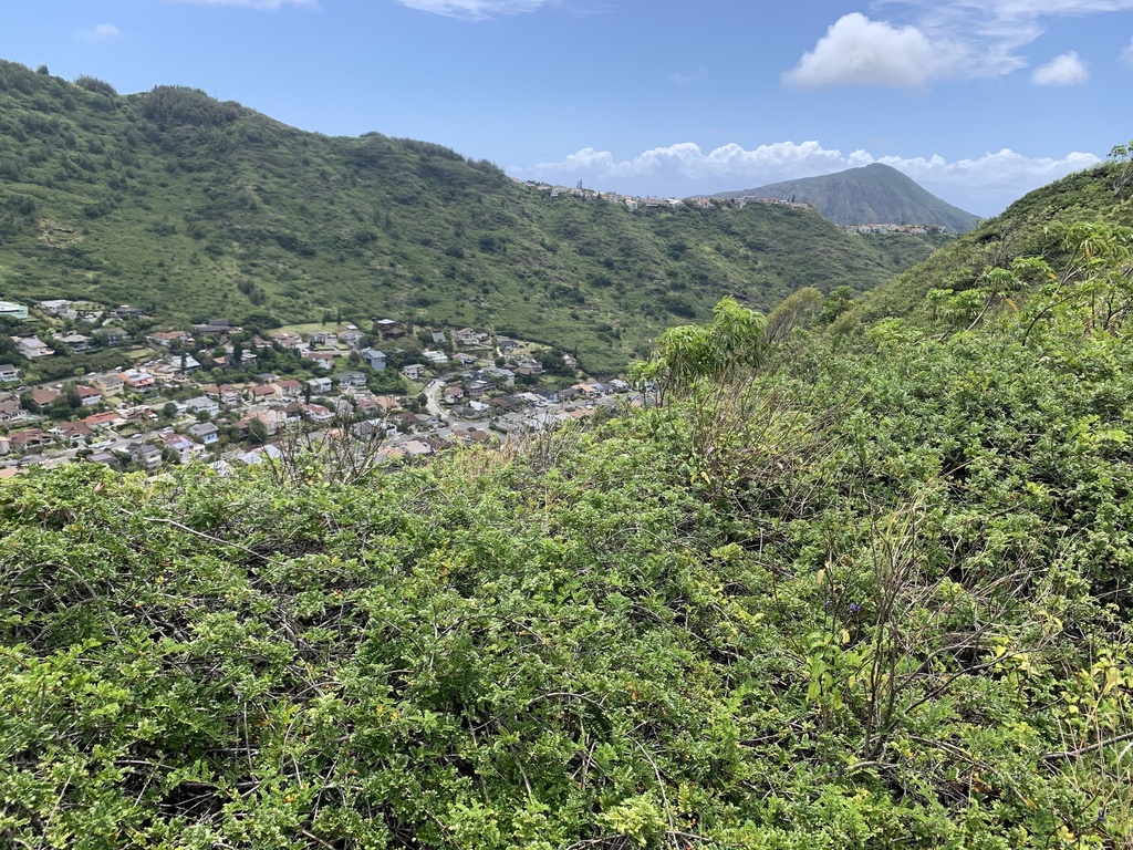 ʻŪlei from Oʻahu, East Honolulu, HI, US on April 23, 2021 at 11:03 AM ...