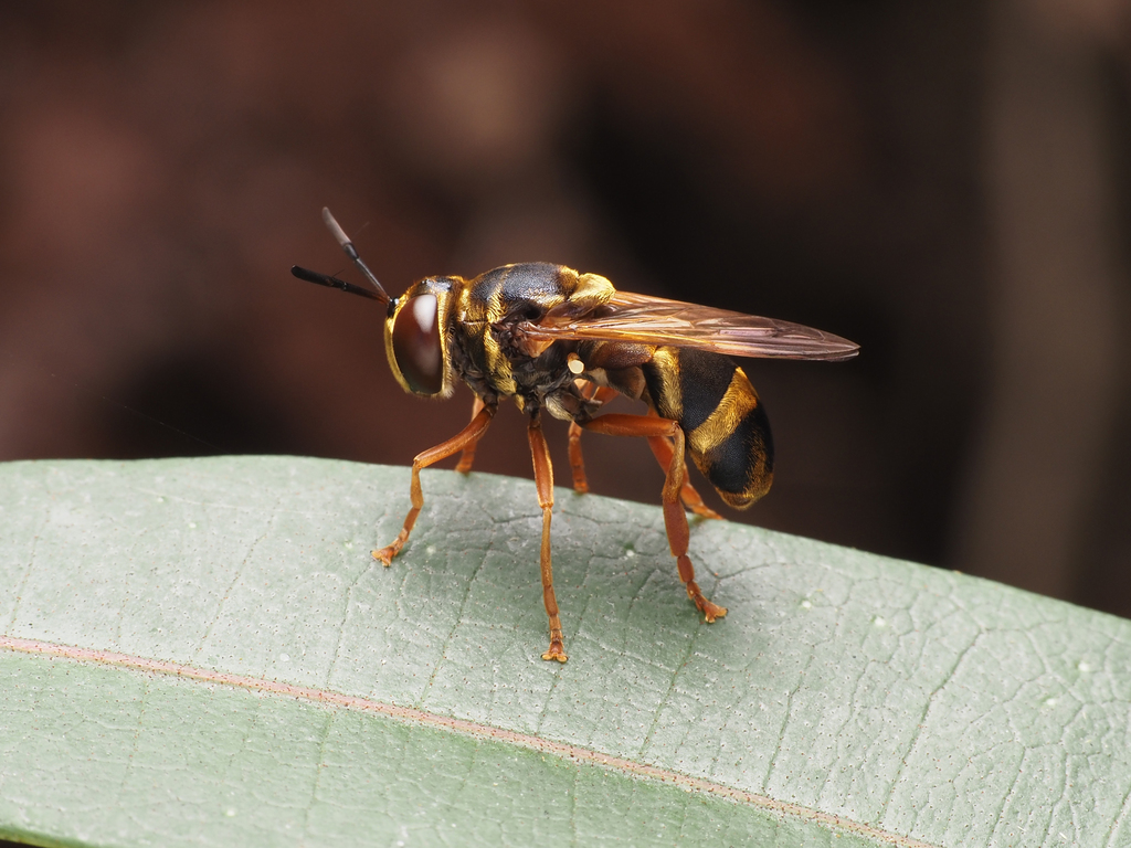 Metadon from São Francisco Xavier, Ilhas, Macao on May 1, 2021 at 07:49 ...