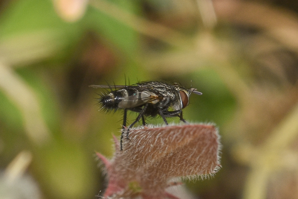 Exorista from Thessalia, Greece on May 30, 2021 at 01:14 PM by Christos ...