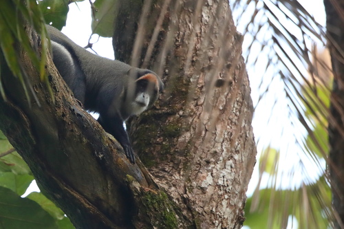 Photo 135371896, (c) Carlos N. G. Bocos, all rights reserved, uploaded ...