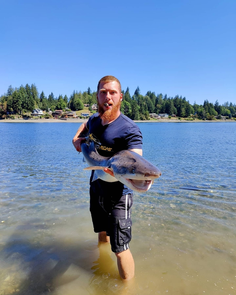 Broadnose Sevengill Shark from SKOK, WA 98584, USA by Connor Seifert ...