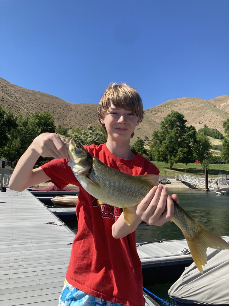 Northern Pikeminnow from Lucky Peak Lake, Boise, ID, US on June 17 ...