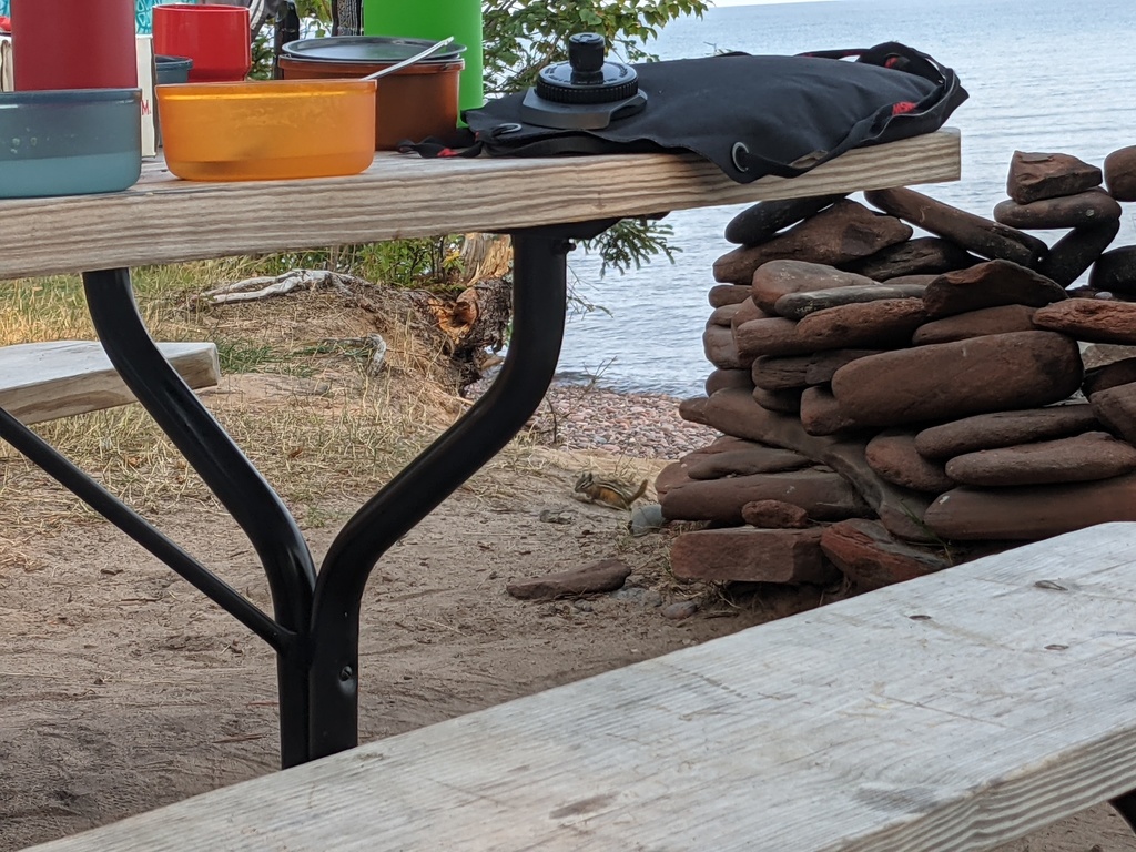 Least Chipmunk from Keweenaw County, MI, USA on August 18, 2021 at 09: ...