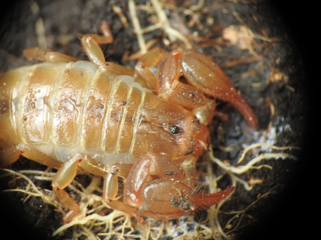 Iurida from 55658 Méx., México on August 20, 2021 at 12:49 PM by ...