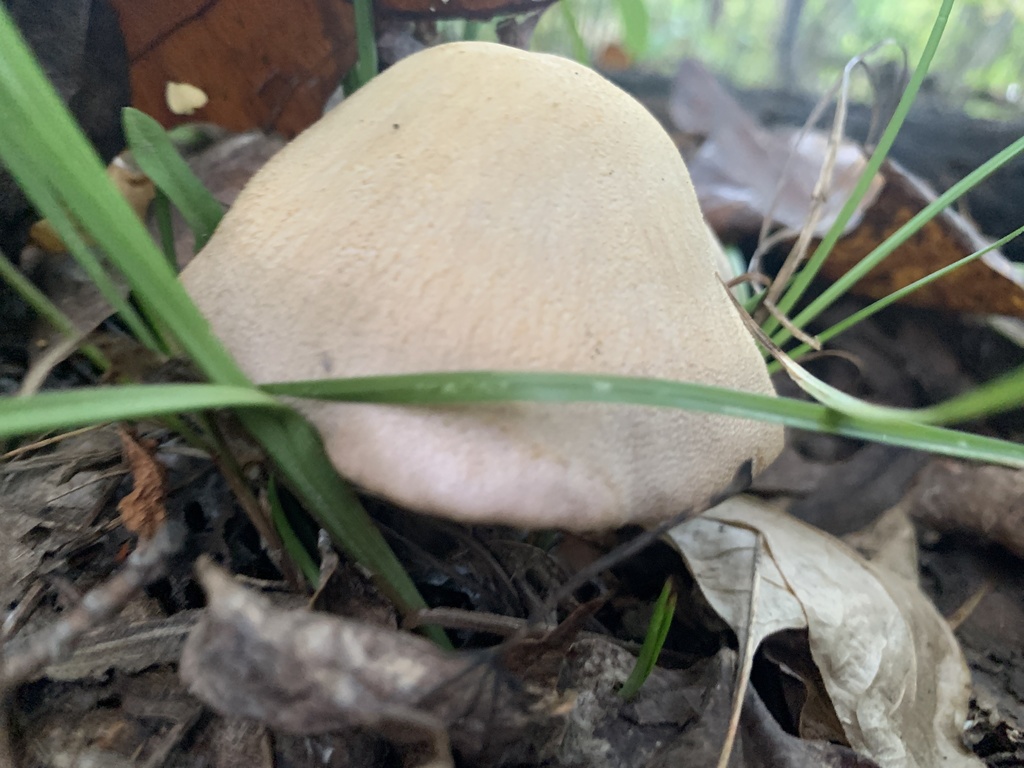 Webcaps from N Raccoon Hill Rd, Peru, IN, US on October 17, 2021 at 06: ...