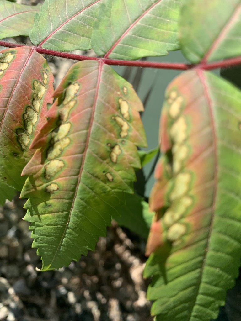 Life from Forest St, Marlborough, MA, US on October 20, 2021 at 10:00 ...