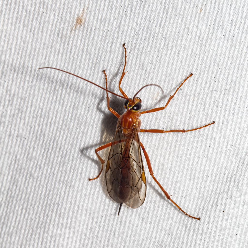 Netelia from Anne Arundel, Maryland, United States on September 27 ...