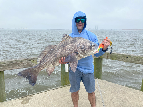 Photo 168004372, (c) Allen Duhon, all rights reserved, uploaded by ...