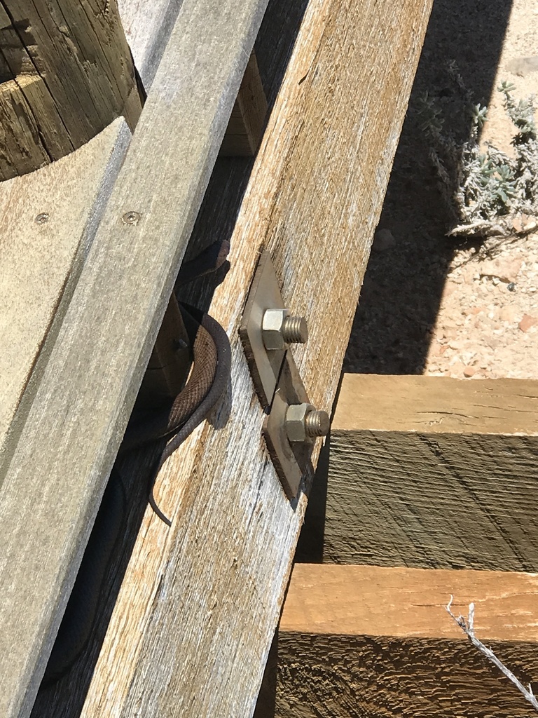 Peninsula Brown Snake in November 2021 by Bruce Edley · iNaturalist