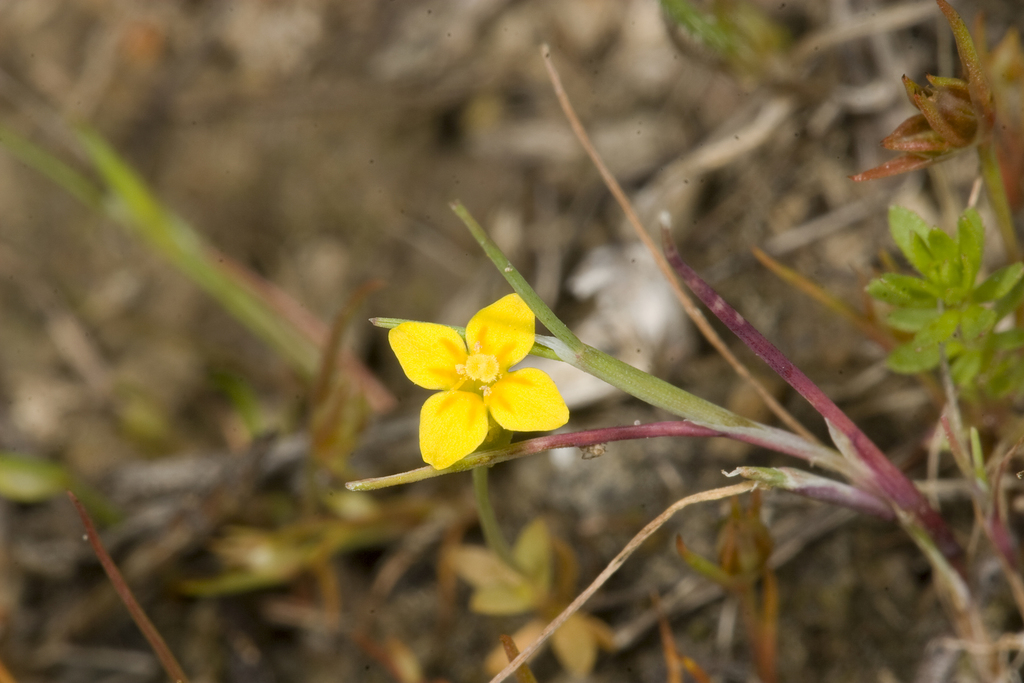 timwort from Marin County, CA, USA on April 12, 2009 at 03:01 PM by ...