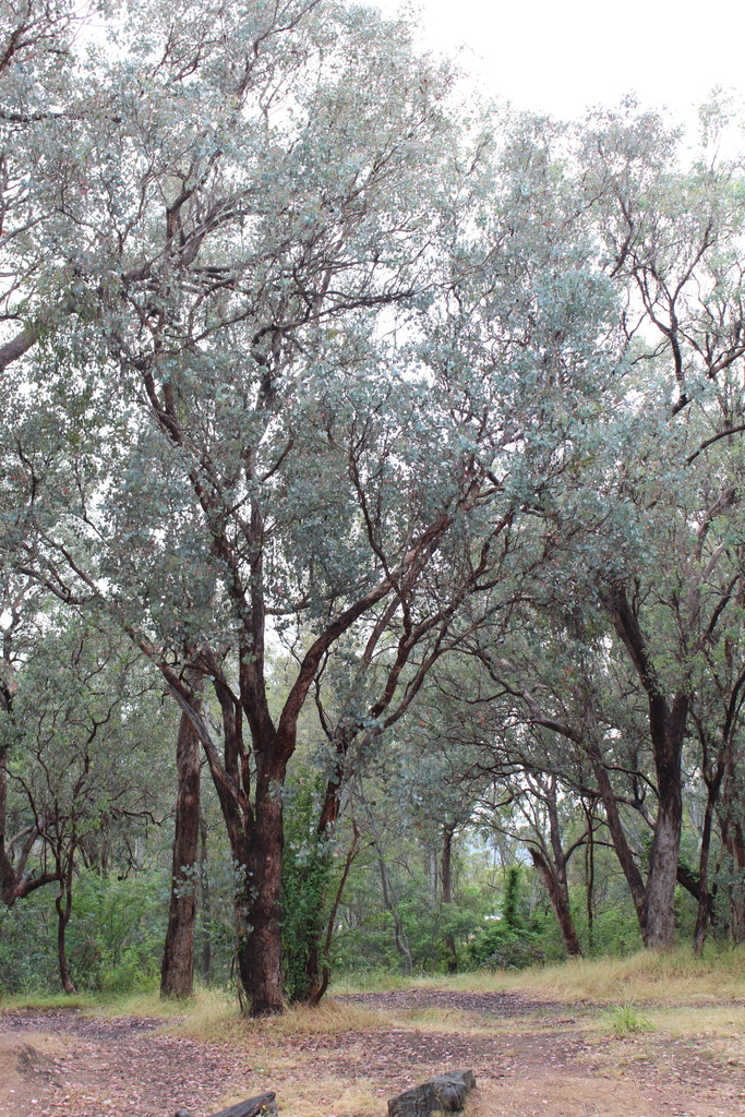 Red Box from Eildon VIC 3713, Australia on April 28, 2021 at 06:30 AM ...