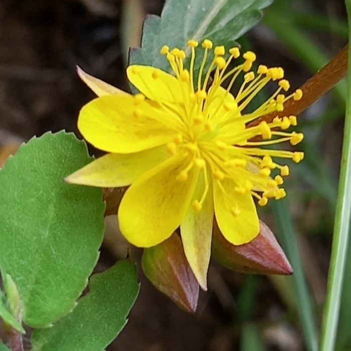 Gusha from Ladysmith, 3370, South Africa on December 30, 2021 at 03:55 ...