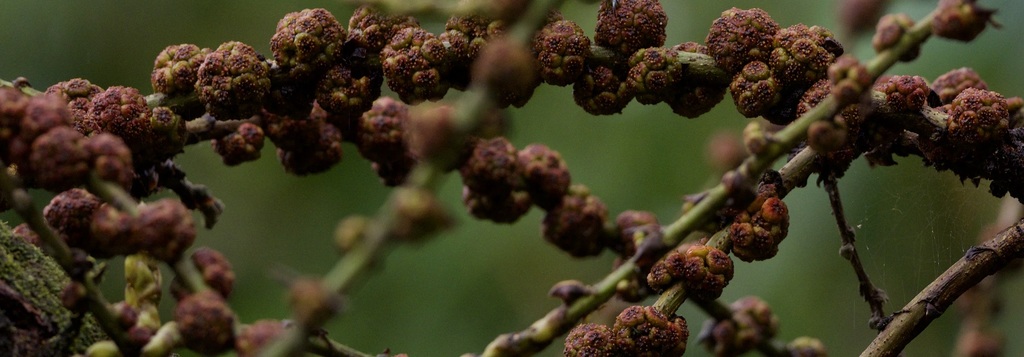 Hagimit from Real, Quezon, Philippines on December 30, 2021 at 09:41 AM ...