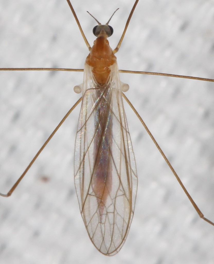 Antocha from Harford County, MD, USA on October 14, 2020 at 07:46 PM by ...