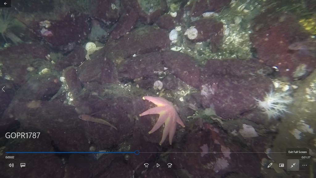 Morning sun star from Nanaimo, BC, Canada on February 22, 2022 at 11:10 ...