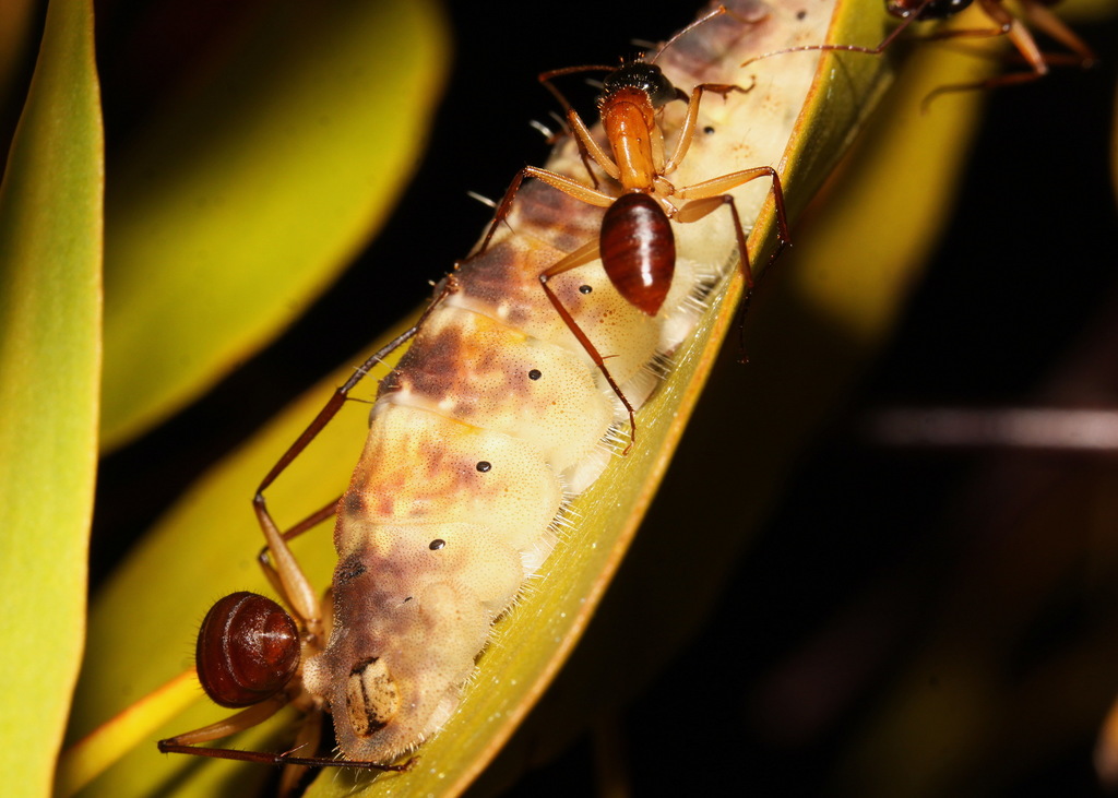 Genoveva Azure from Rainbow VIC 3424, Australia on April 08, 2022 at 10 ...