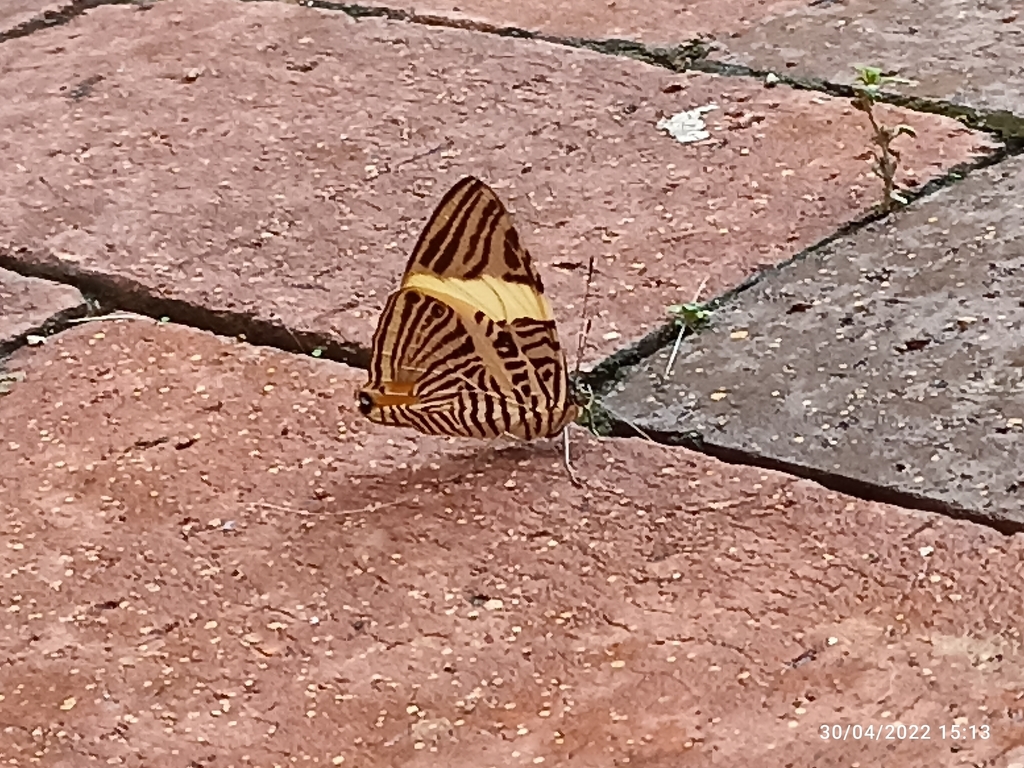 Dirce Beauty from Comuna 7 La Ciudadela, Bucaramanga, Santander ...