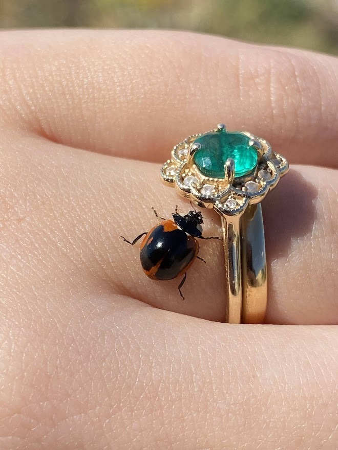 Seven-spotted Lady Beetle from Moni Profitou Iliou 847 00, Greece on ...