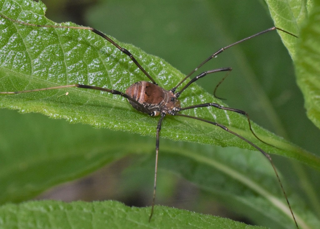 Early-Season Group from Morgantown, WV, USA on June 3, 2022 at 10:01 AM ...
