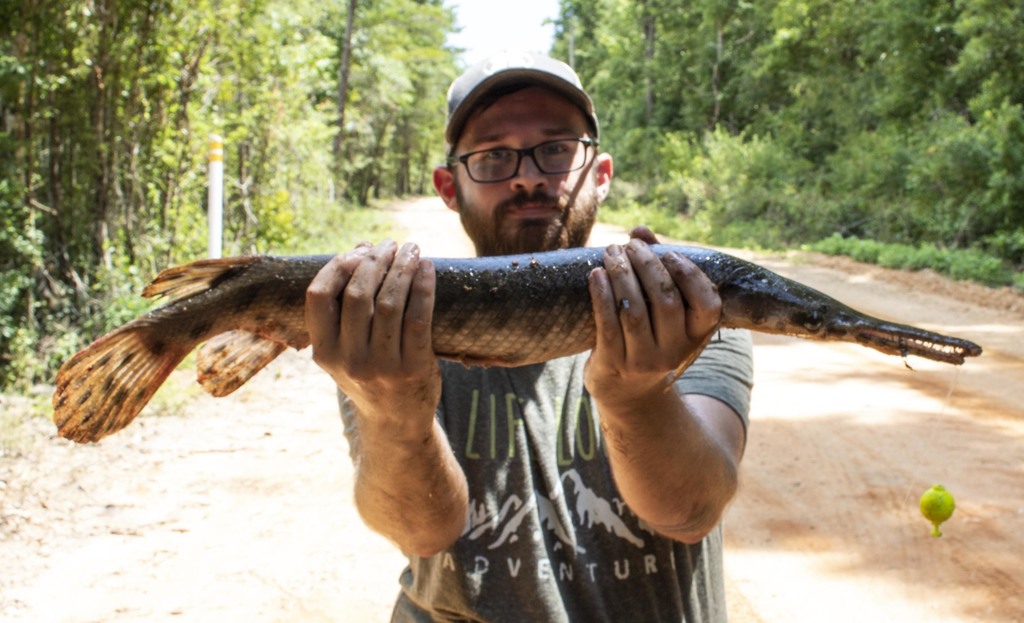 Spotted Gar from Washington County, FL, USA on June 9, 2018 at 02:11 PM ...