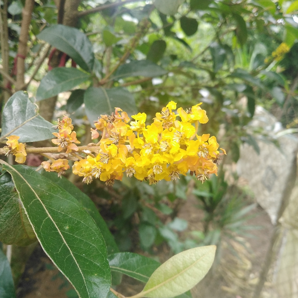 nance family from Corquiín, Honduras on June 16, 2022 at 11:28 AM by ...