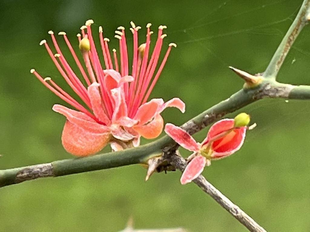 karira from Bhinay, Ajmer, RJ, IN on August 02, 2022 at 08:25 AM by ...