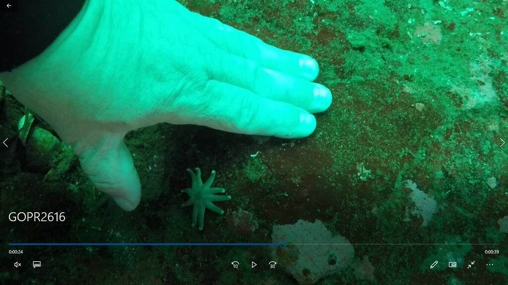 Smooth Sun Stars from Nanaimo, BC, Canada on August 07, 2022 at 11:45 ...