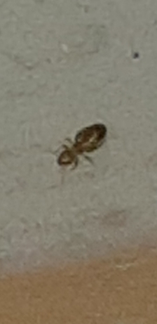 Animals from 50100 Cherbourg-en-Cotentin, France on September 25, 2022 ...