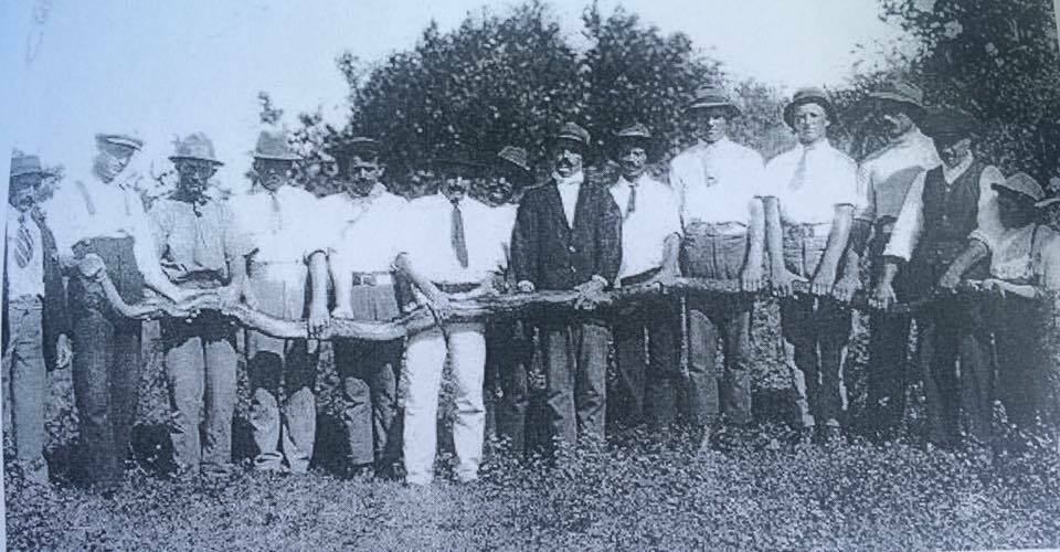 Australian Scrub Python from Cairns QLD, Australia on July 9, 1931 at ...