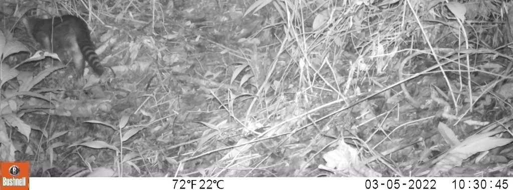 Achuni desde Sonsón, Antioquia, Colombia el 05 de marzo de 2022 a las ...