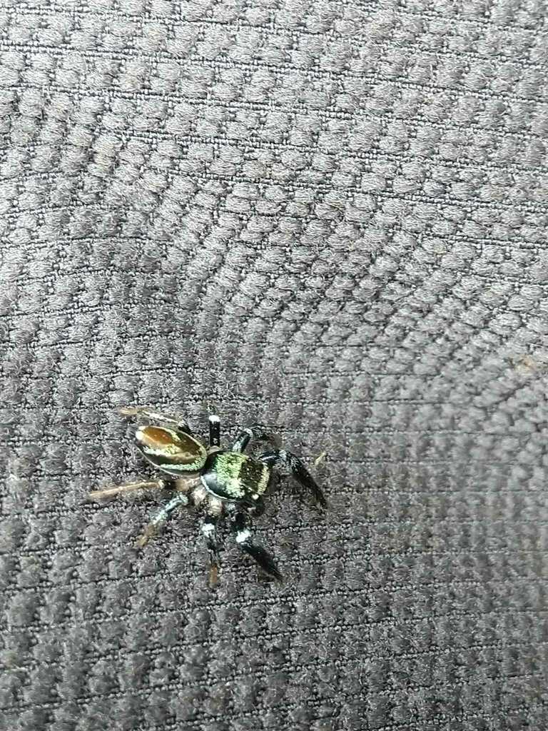 Metallic blue jumper from KFBG on November 06, 2022 at 02:11 PM by ...