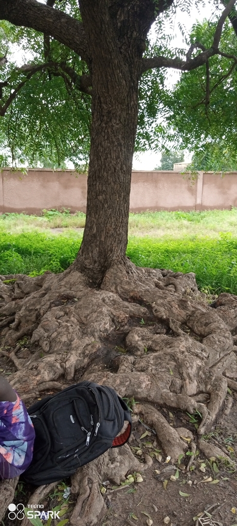 Life from Tapoa, Burkina Faso on September 01, 2022 at 04:25 PM by Ruth ...