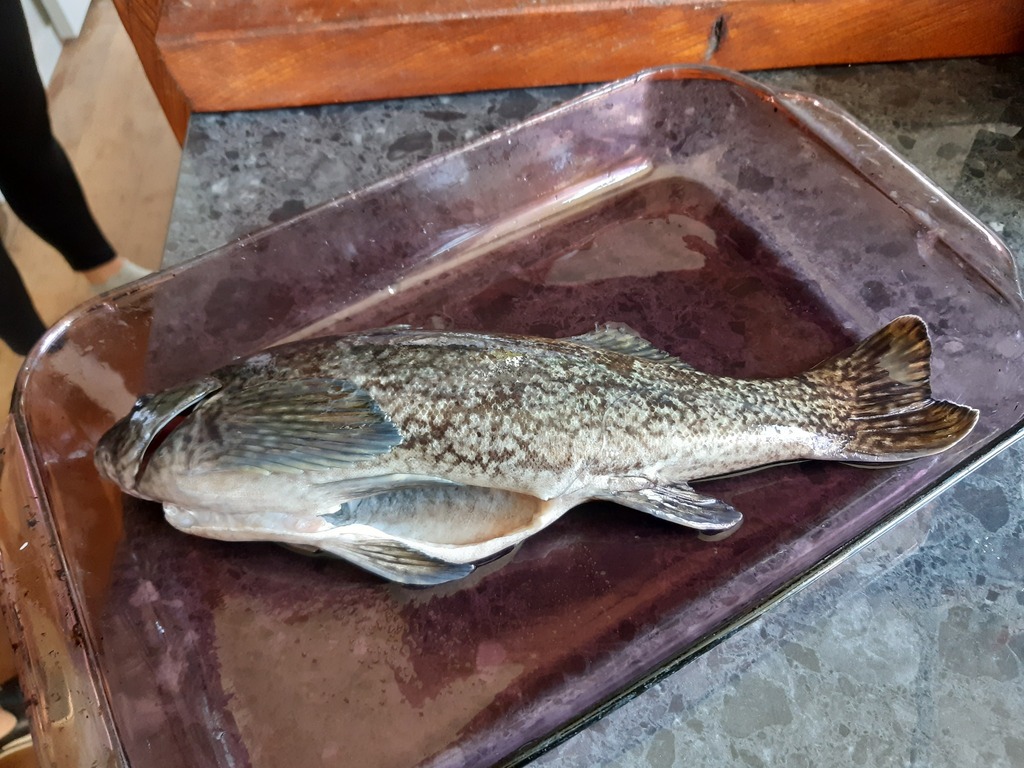 Marblefish from Southland, New Zealand on November 27, 2022 at 01:36 PM ...