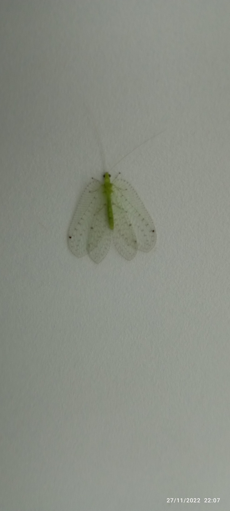 Something from 9GXW+RG2, Sawarde, Maharashtra 415606, India on November ...