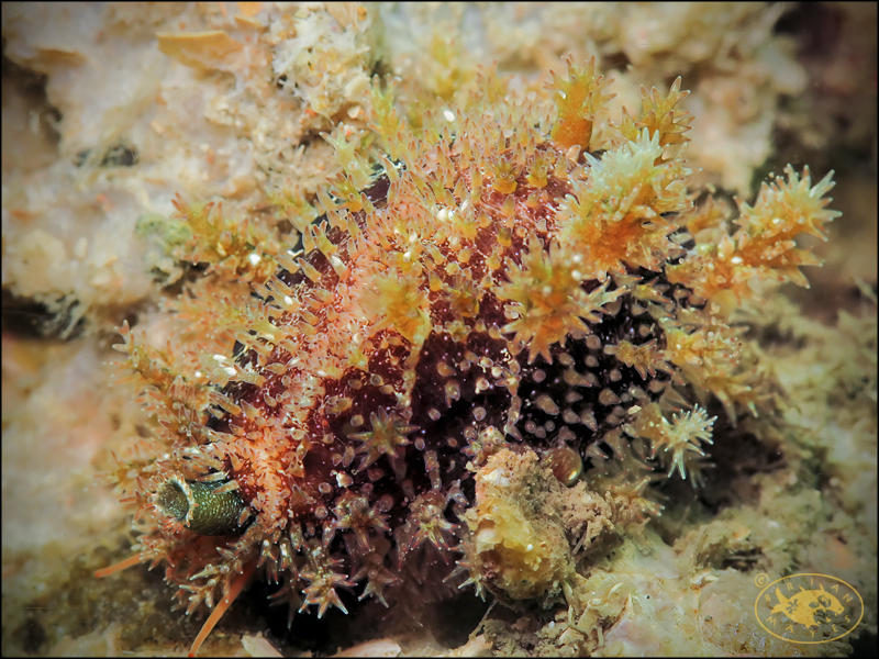 Naria from Nelson Bay, New South Wales, Australia on March 19, 2018 at ...