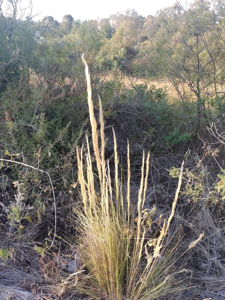 Jarava from Yauhquemehcan, MX-TL, MX on December 10, 2022 at 04:55 PM ...