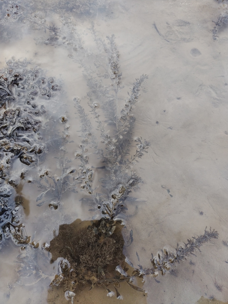 Something from Heysham, UK on February 27, 2023 at 12:39 PM by Daniel ...