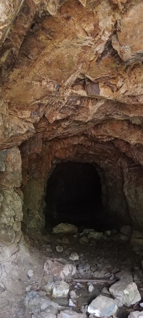Big-eared Brown Bats from Puchuncaví, Valparaíso, Chile on March 07 ...