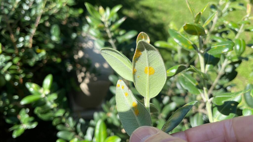 Life from Mount Maunganui, New Zealand on March 18, 2023 at 10:45 AM by ...