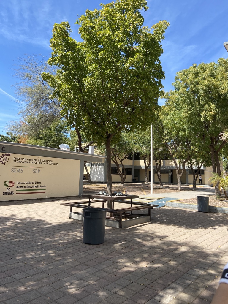 dicots from Centro de Bachillerato Tecnológico Industrial y de ...