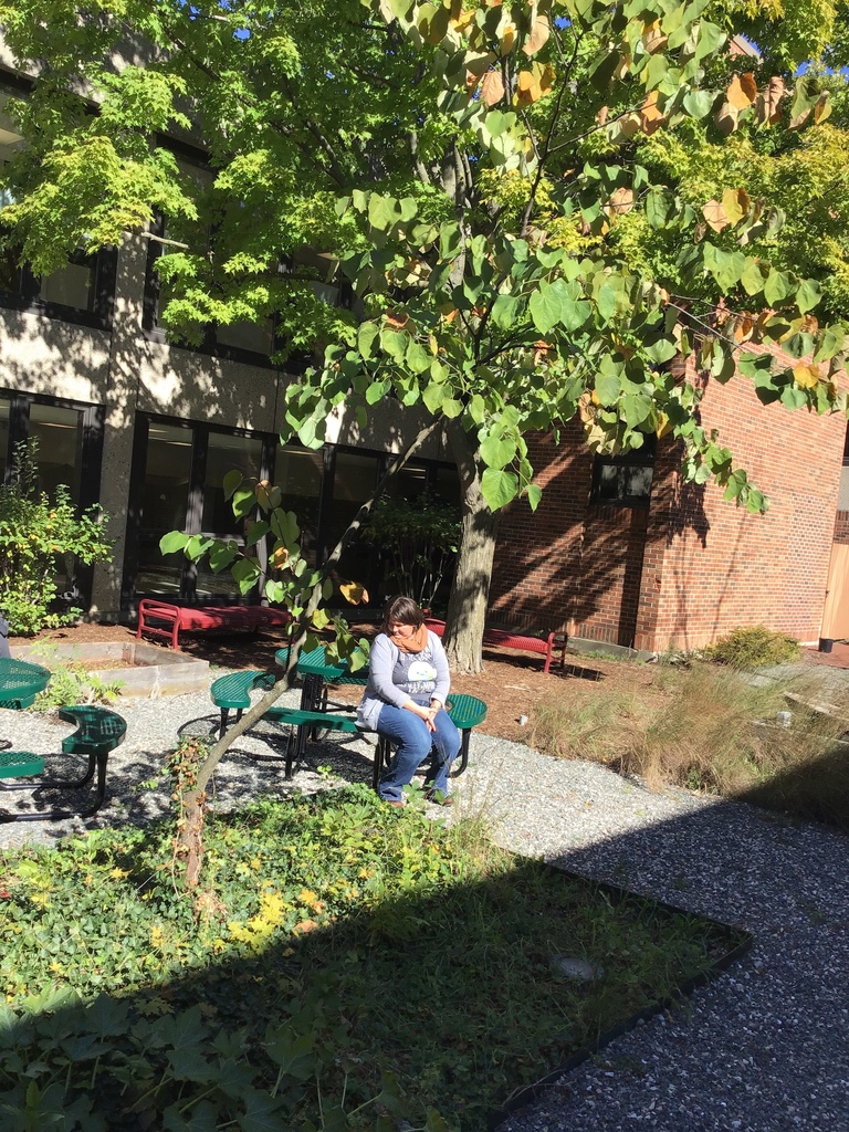 redbuds on October 16, 2018 at 01:35 PM by Declan Thornton · iNaturalist