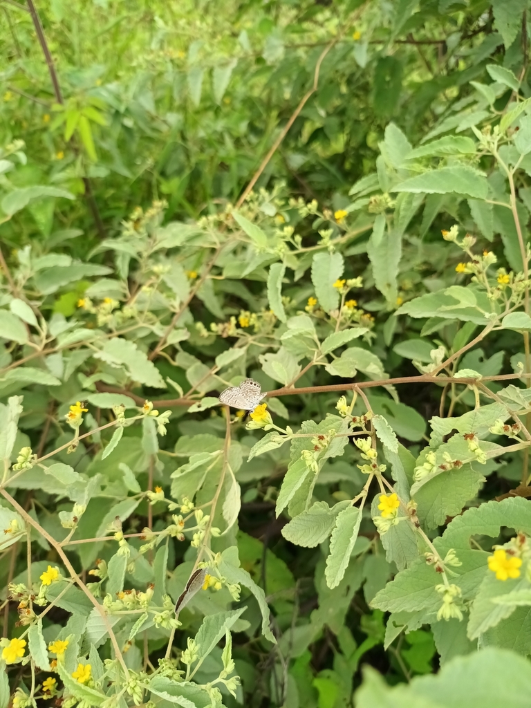 Ramon Blue from Puerto Baquerizo Moreno, Ecuador on April 18, 2023 at ...