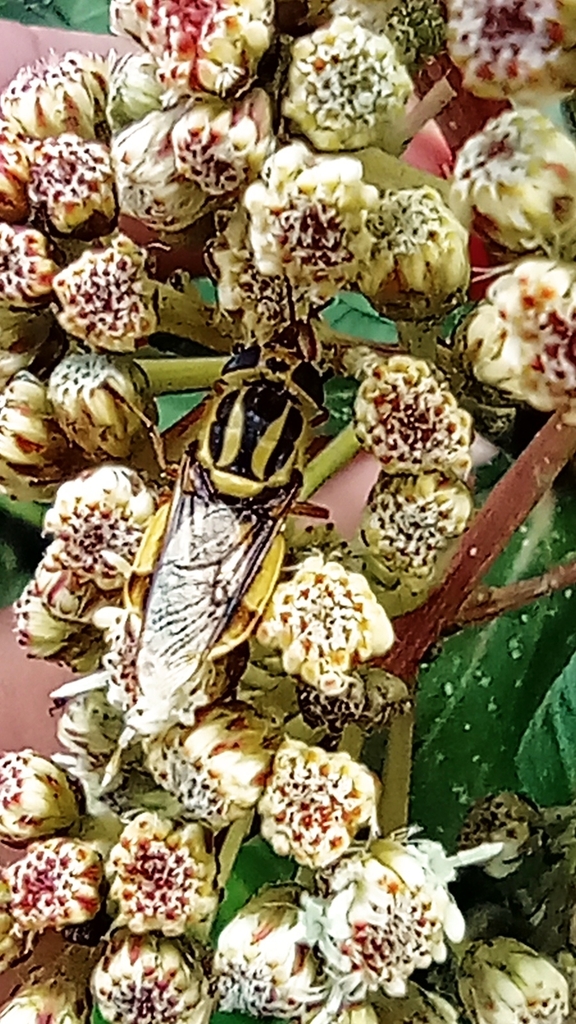Flies from Guaitacama (Guaytacama), Ecuador on April 26, 2023 at 02:18 ...