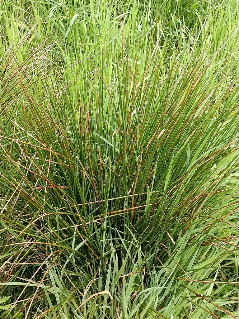 Hard Rush from Otto-Möbes-Akademie, 8010 Graz, Österreich on April 28 ...